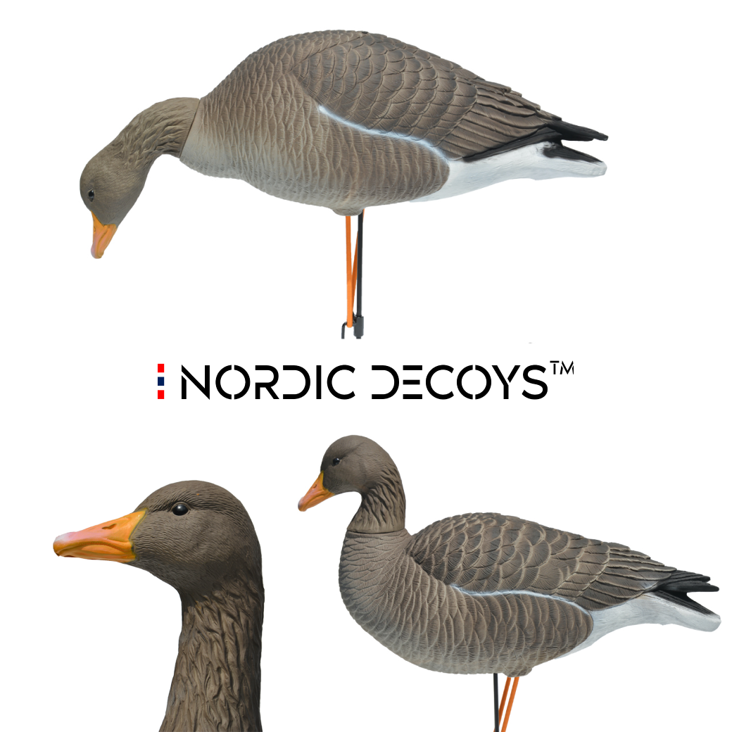 Nordic Decoys Full Body - Grågås 6pk | Nordic Decoys
